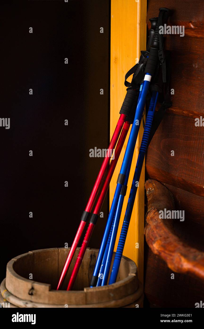 Three pairs of trekking poles are propped up in a barrel, poles for ...