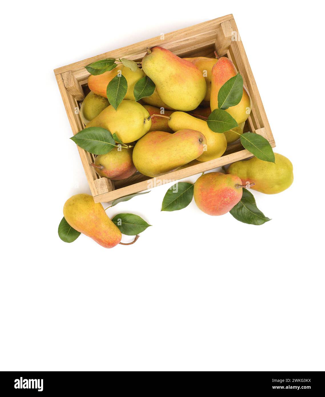 Close-up of the pears in yellow and red. pears is sold in the grocery ...