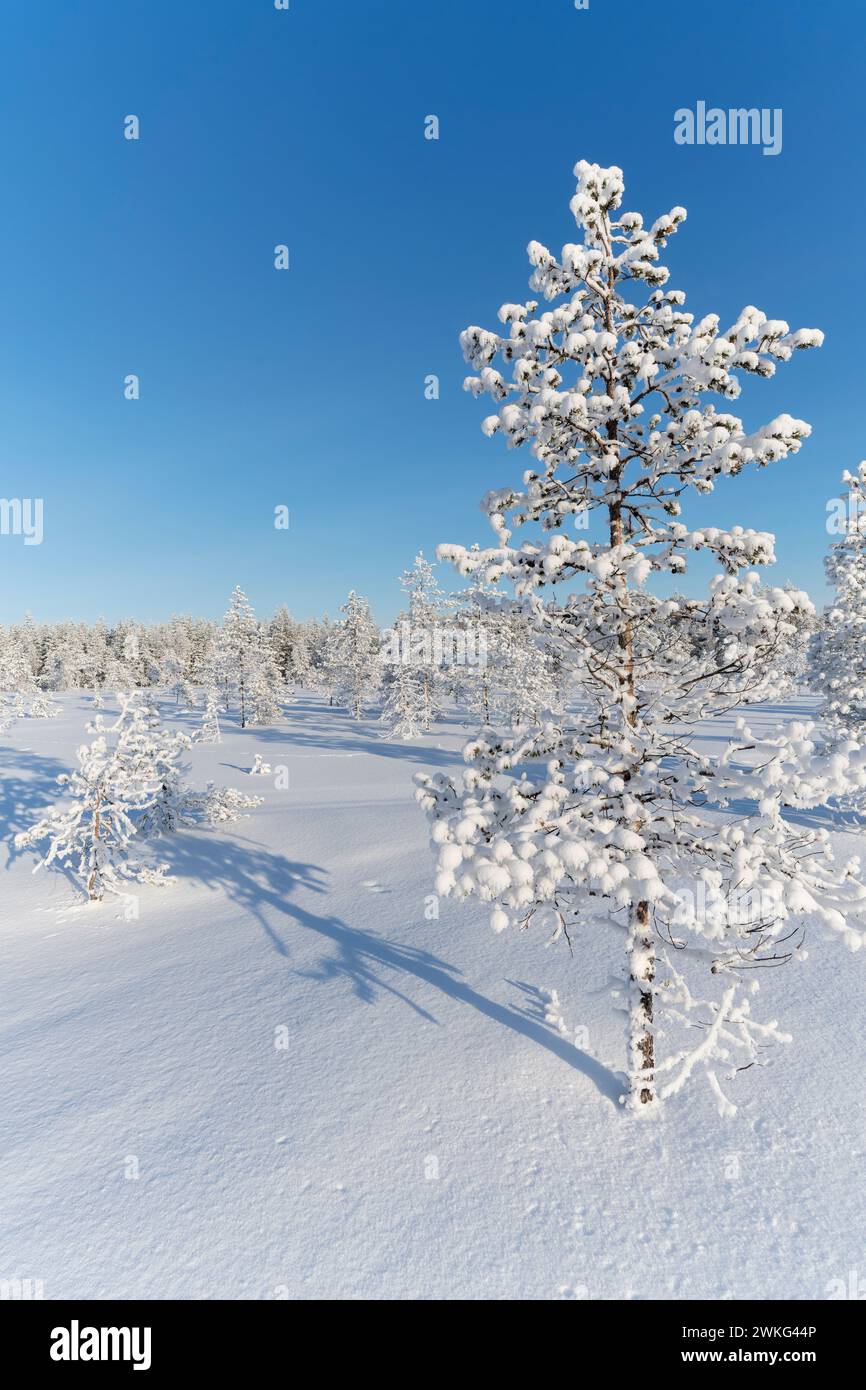 Taiga rivers hi-res stock photography and images - Alamy