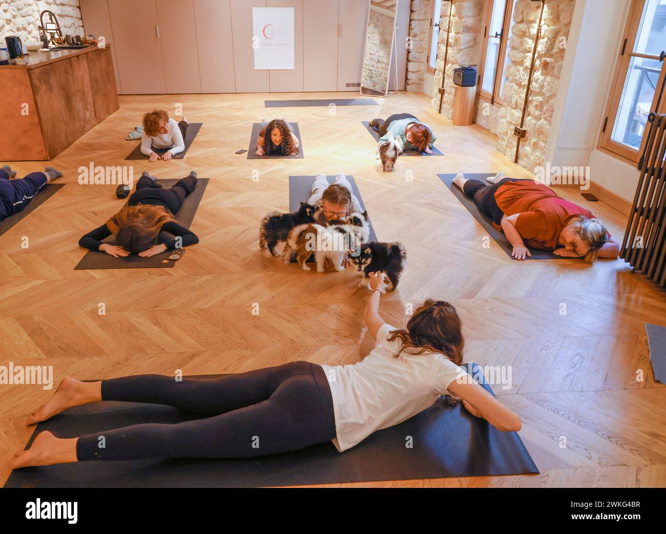 Puppy yoga states hi-res stock photography and images - Alamy