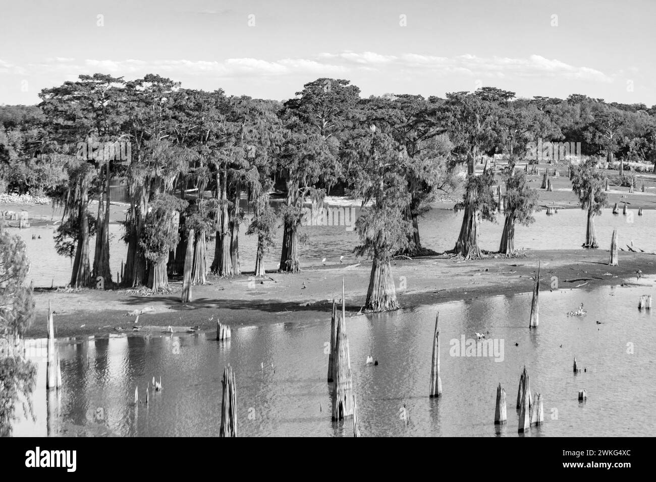 Atchafalaya basin louisiana Black and White Stock Photos & Images - Alamy