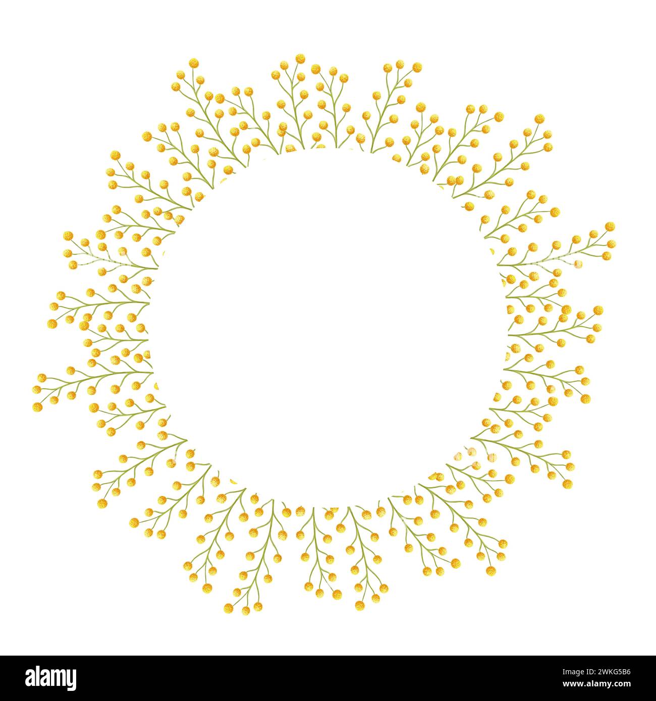 Yellow mimosa flowers round wreath frame. Watercolor background border ...