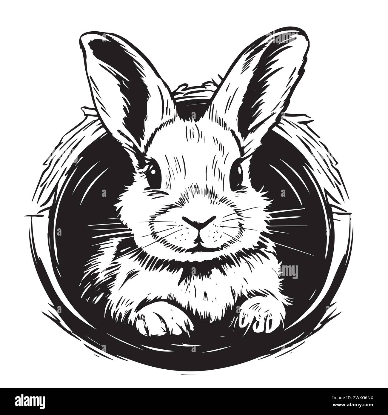 face rabbit portrait, vintage graphic illustration, design for posters ...