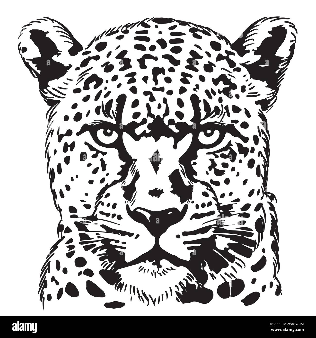 Portrait of Leopard, hand-drawn illustration, vector Stock Vector Image ...
