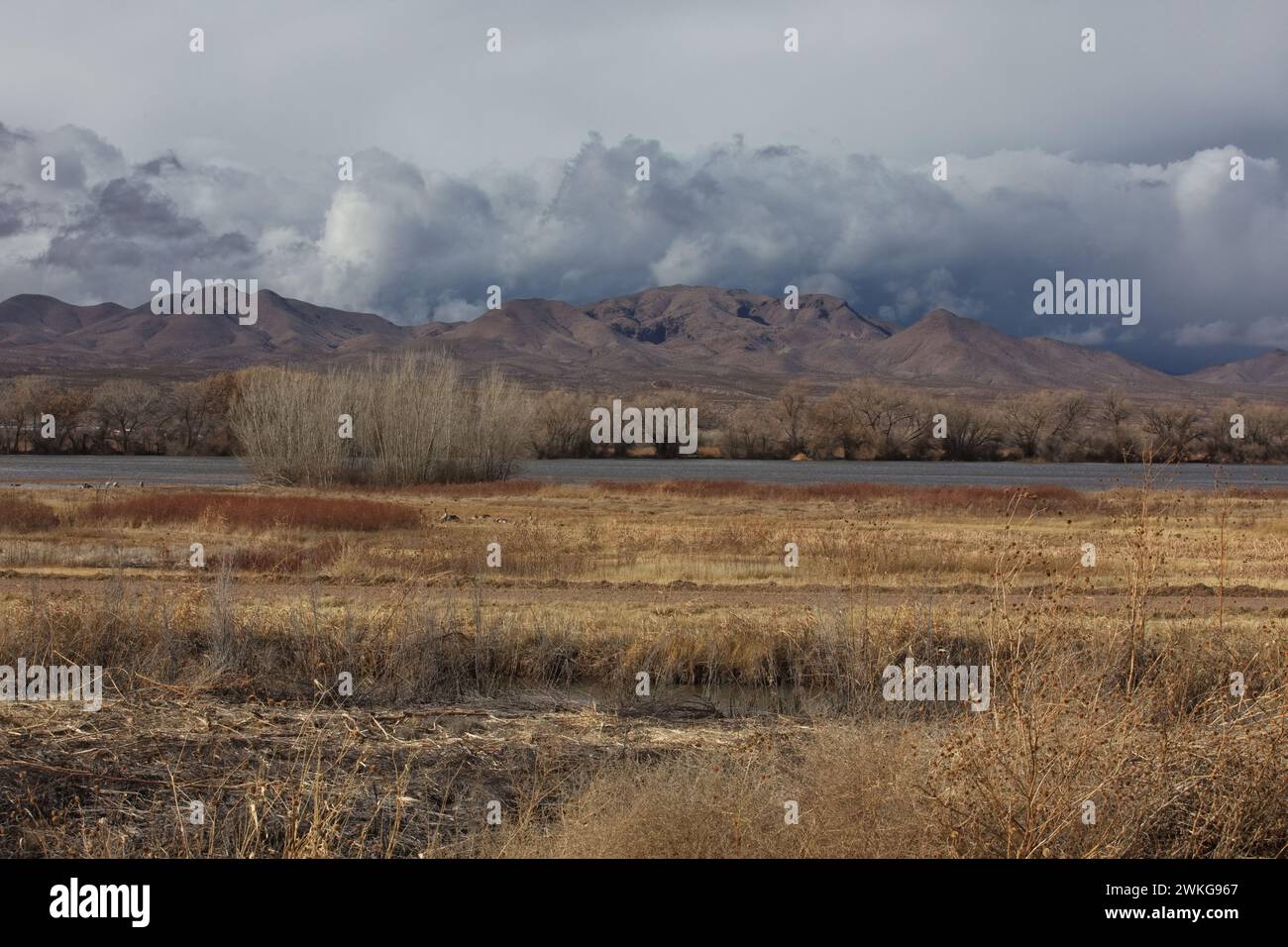 Tranquil, rural landscape taken from North Loop Autodrive of Bosque del ...