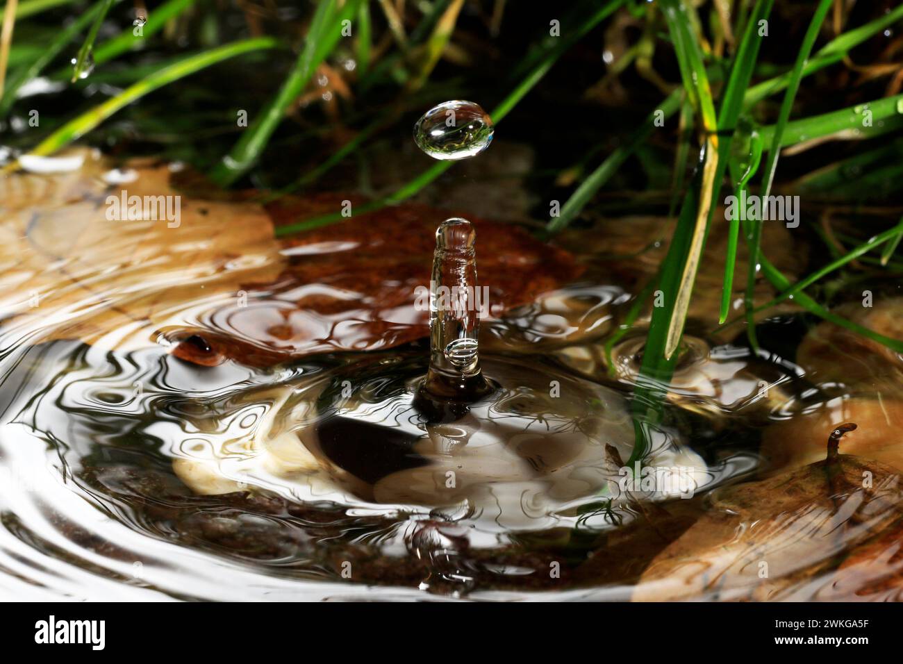Perfection in the rain hi-res stock photography and images - Alamy