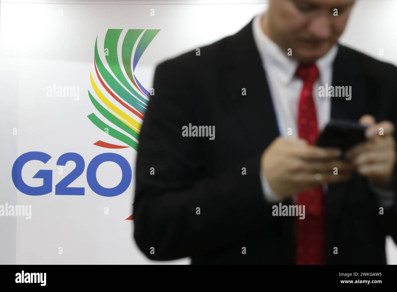 G20 Brazil 2024 Summit logo on a wall. Symbol of the Group of 20 ...