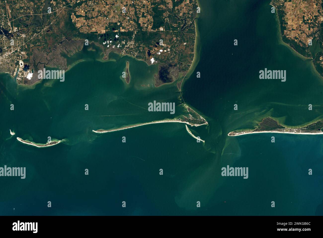 Alabama, USA. 19th Feb, 2024. FILE: November 29, 2000. A fringe of ...