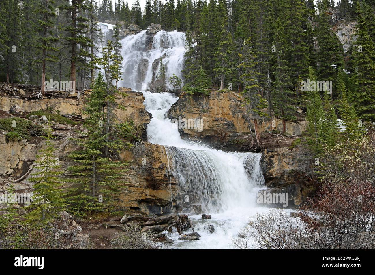 Waterfall tangle creek falls hi-res stock photography and images - Alamy
