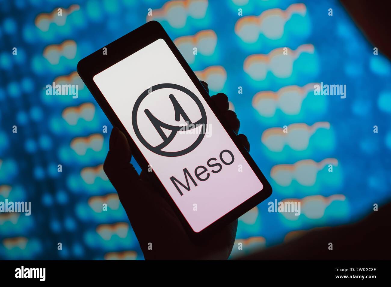Meso network hi-res stock photography and images - Alamy