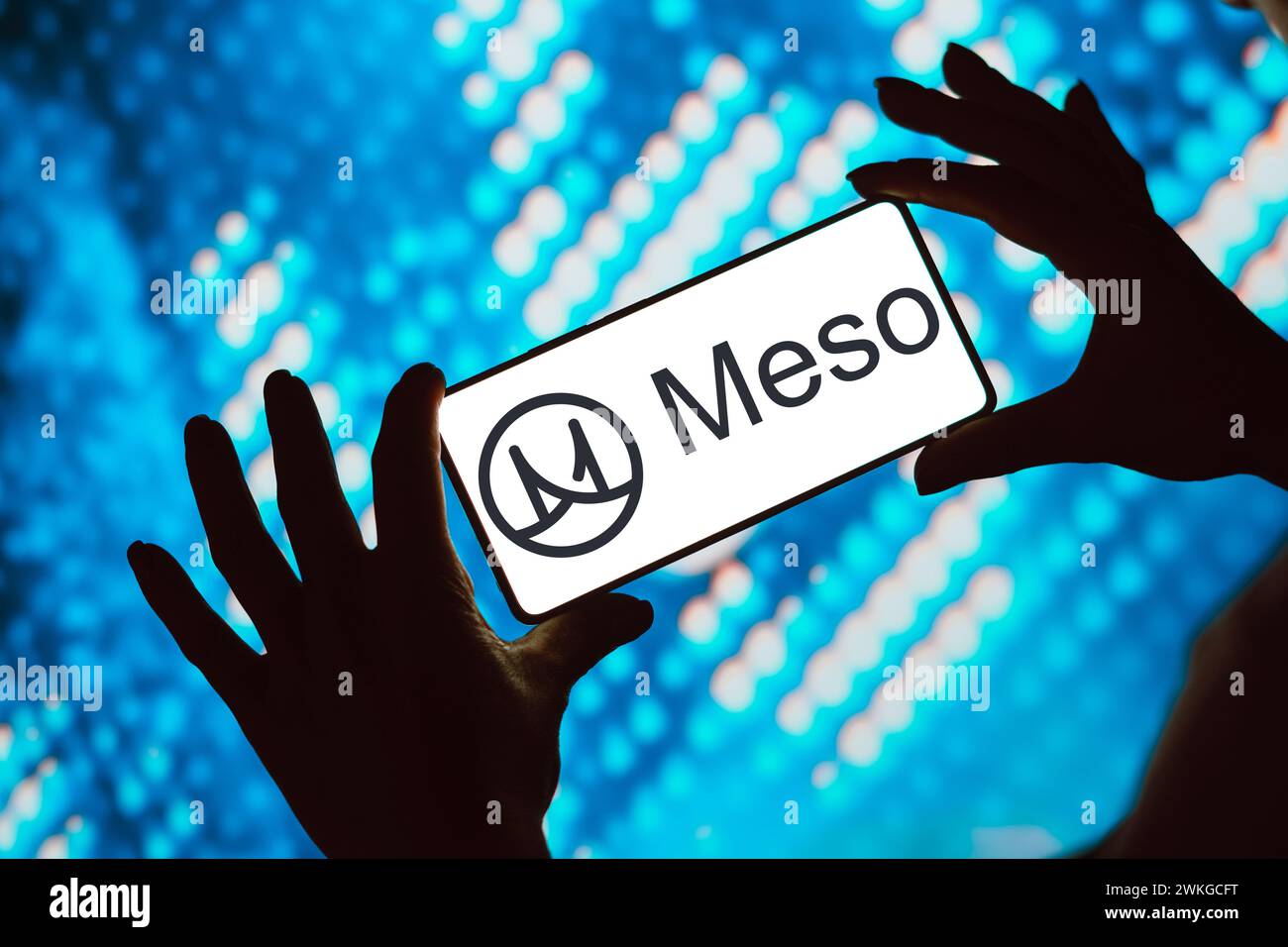 Meso network hi-res stock photography and images - Alamy