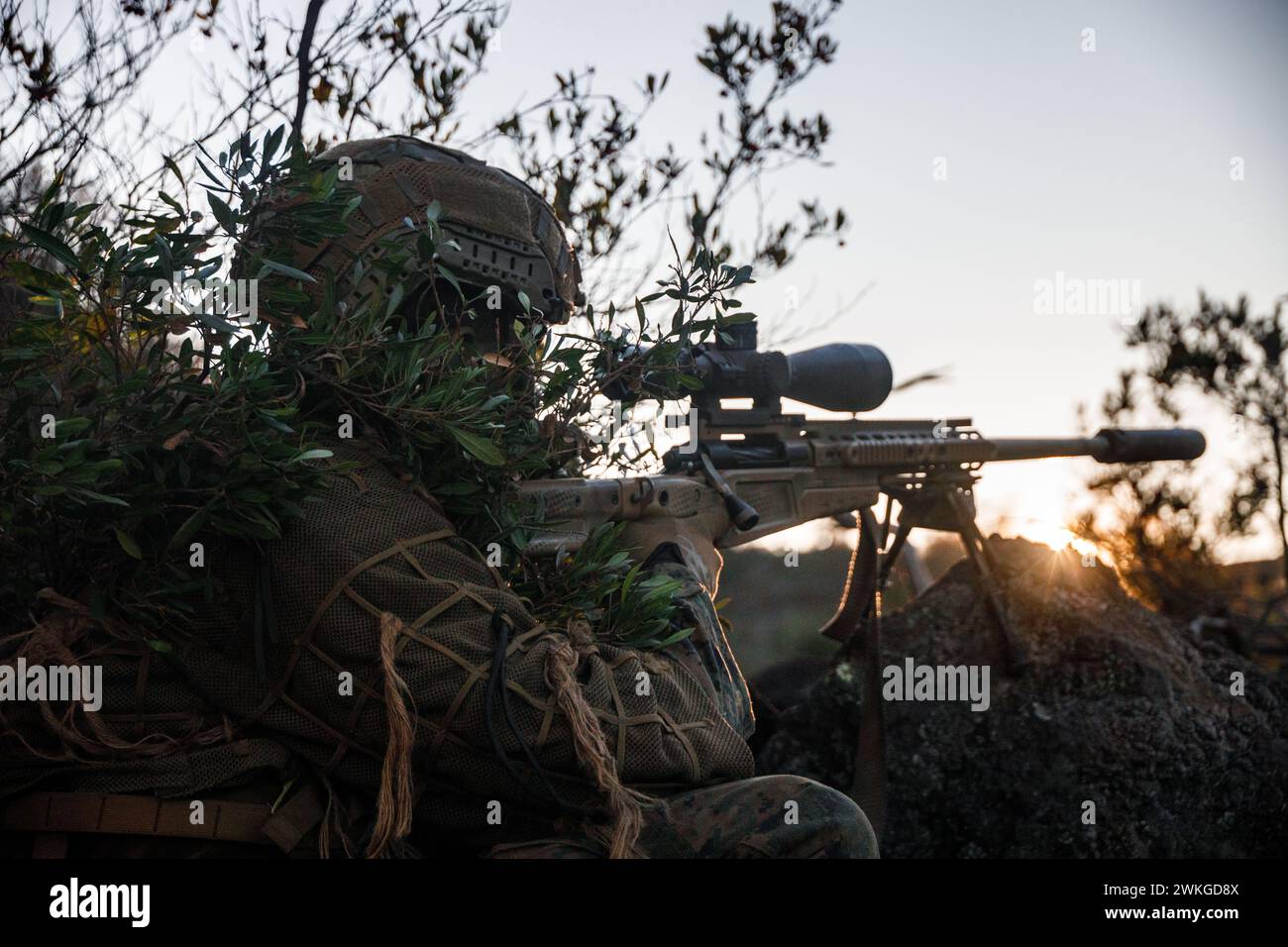 Lct 3d hi-res stock photography and images - Alamy