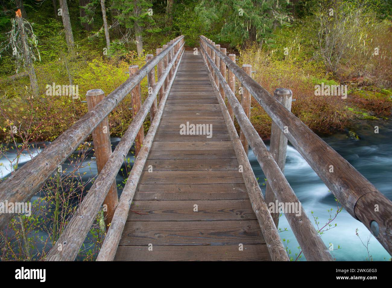 Hiker bridge over Fish Lake Creek along McKenzie River National ...