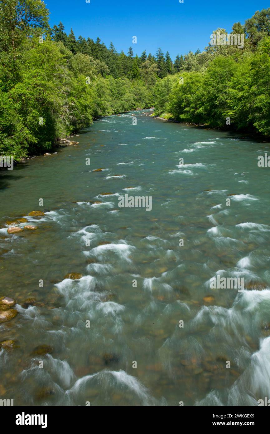 Middle Fork Willamette River, Greenwaters Park, Oakridge, Oregon Stock ...