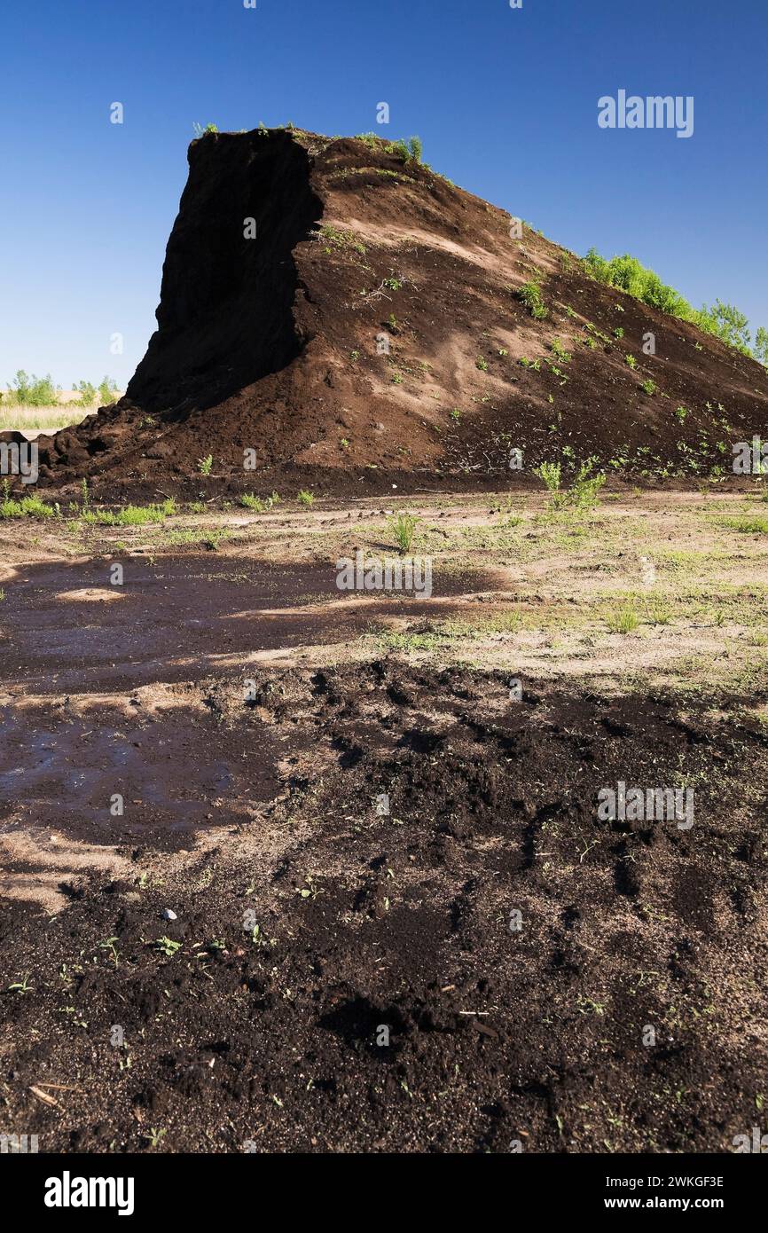 Mound of brown topsoil overgrown with various plants and weeds in ...