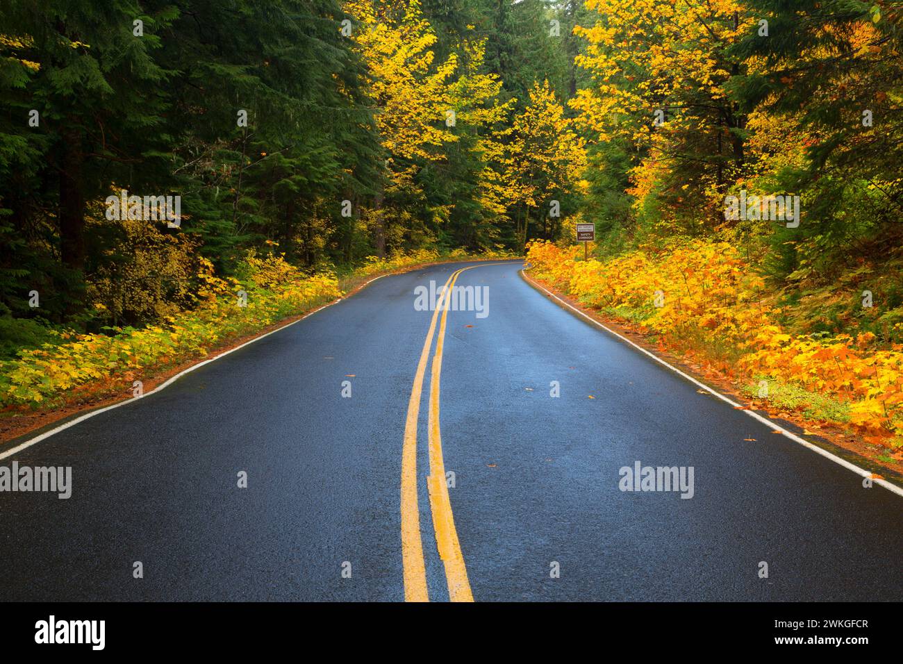 West Cascades Scenic Byway, Willamette National Forest, Oregon Stock ...