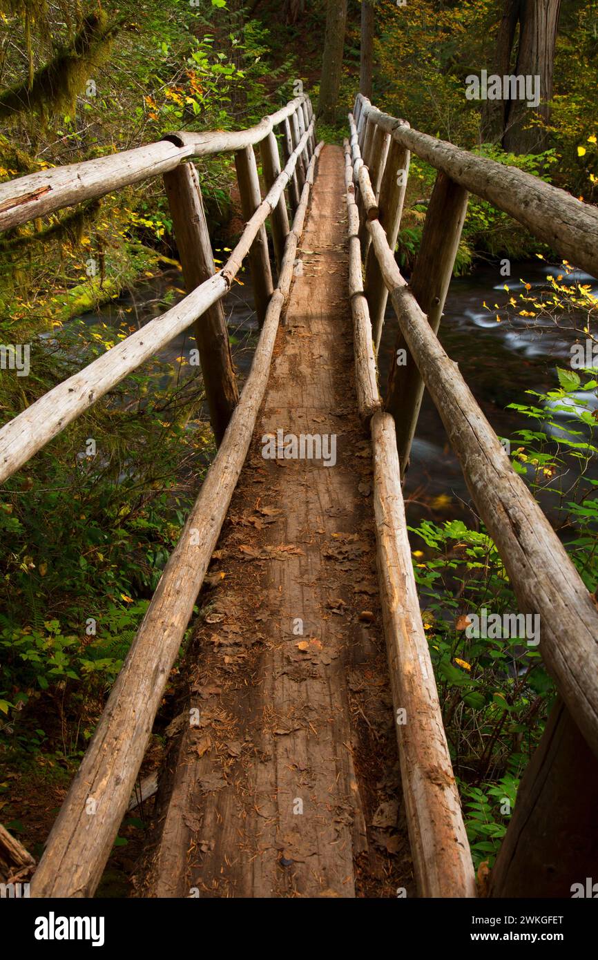 Lost Creek bridge along McKenzie River National Recreation Trail ...