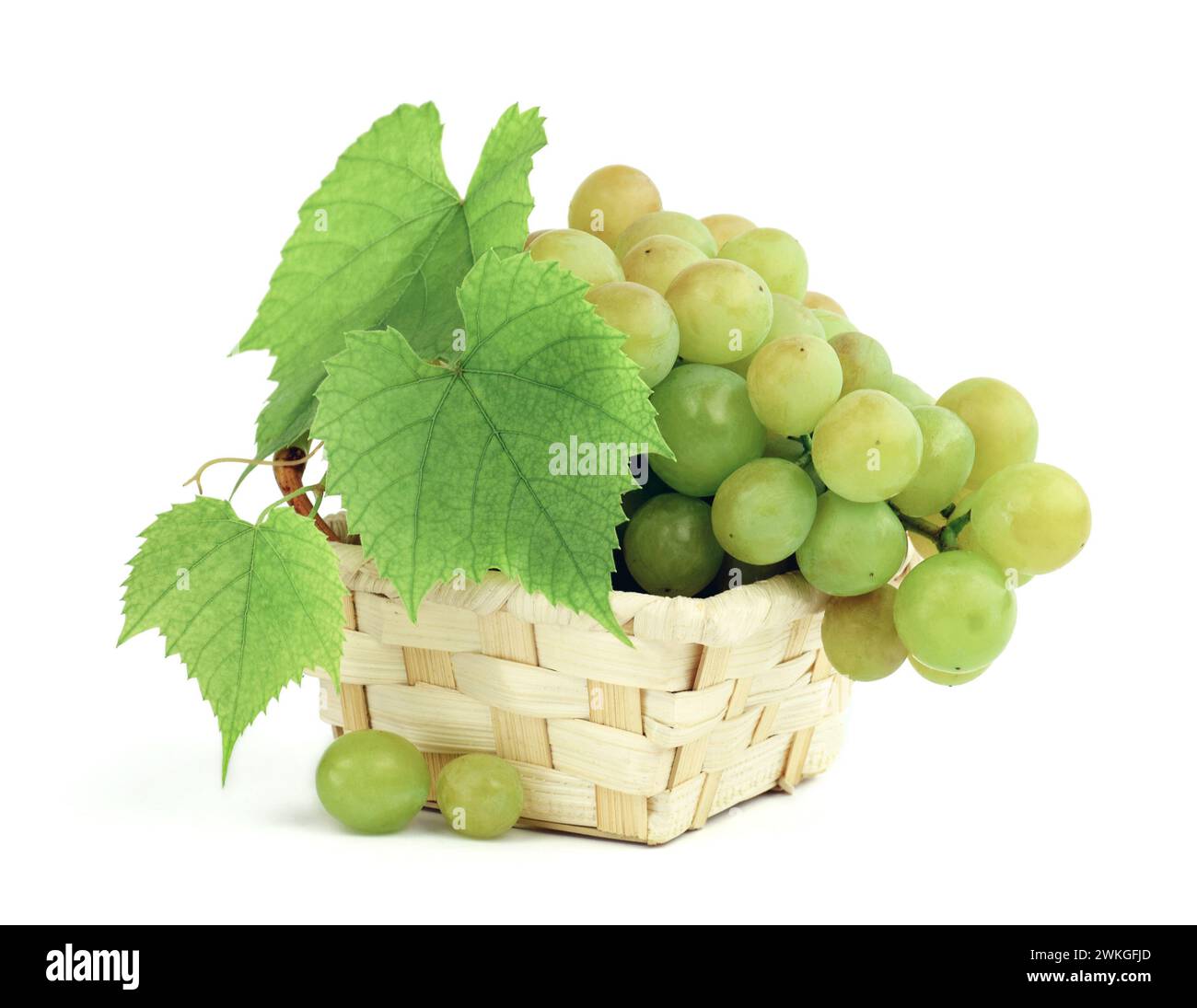 Bunches of grapes . autumn background. Variety of ripe colorful grapes ...