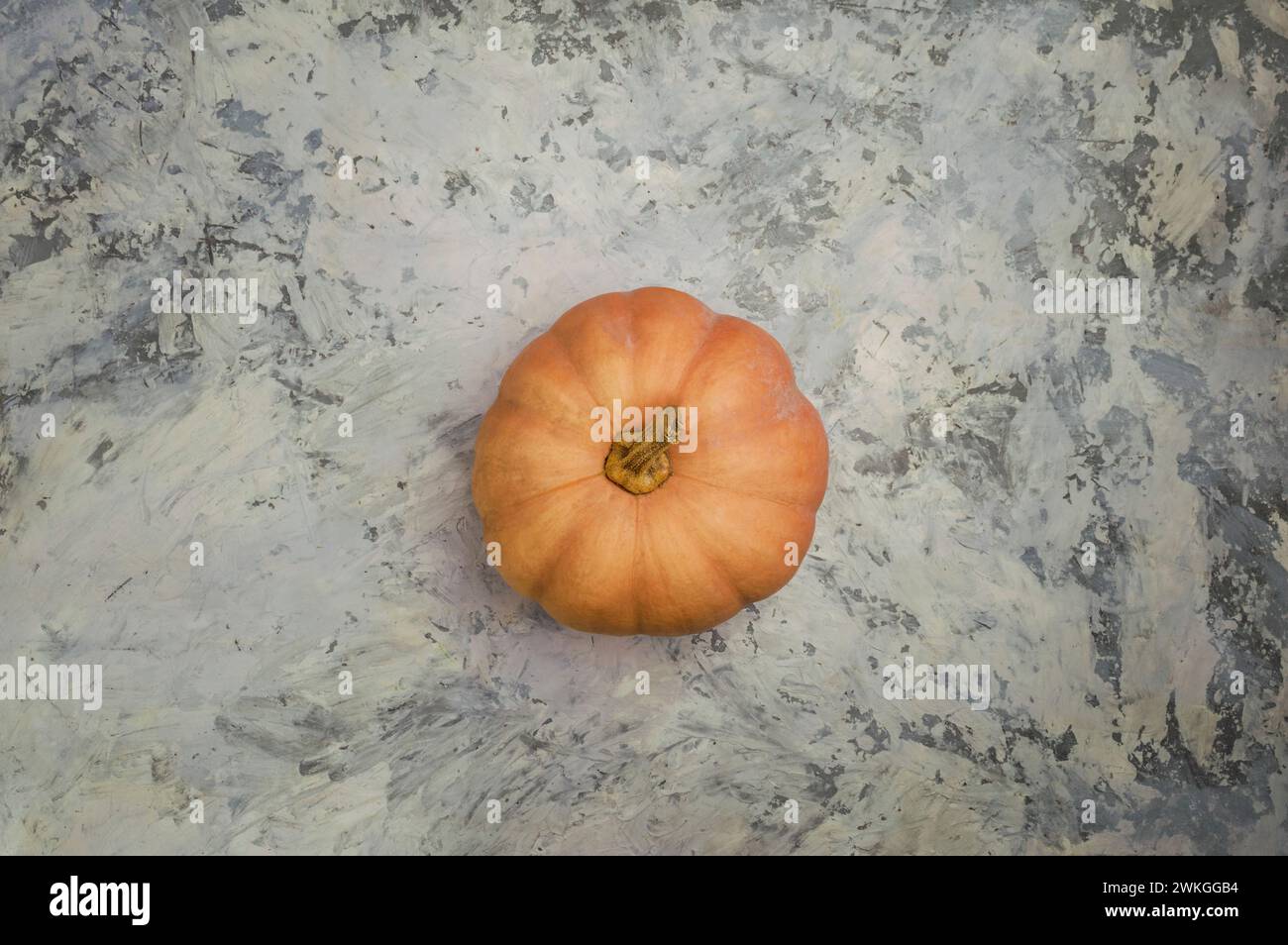 Pumpkin. Autumn mockup. Autumn composition, fall concept. Flat lay, top ...