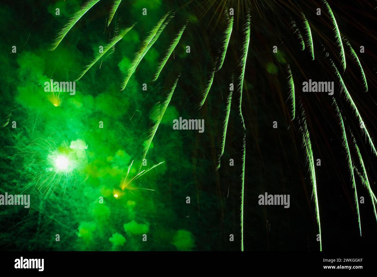 Bursts of green hi-res stock photography and images - Alamy