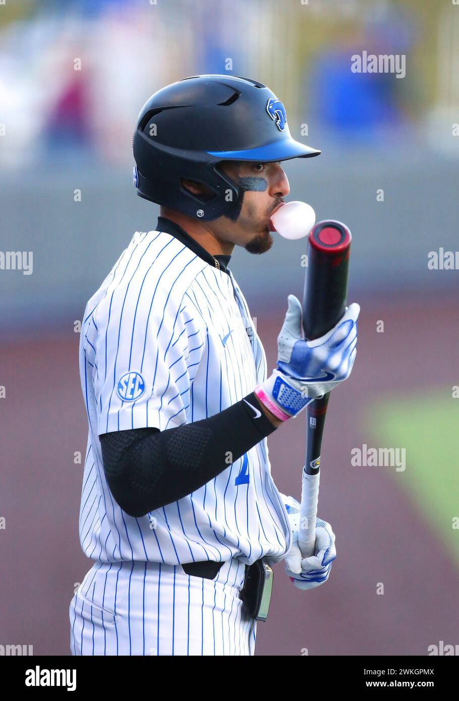 LEXINGTON, KY - FEBRUARY 20: Kentucky catcher Devin Burkes (7) in a ...