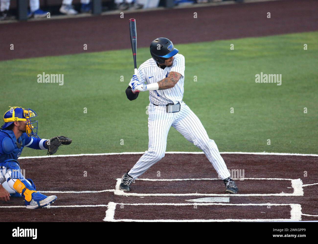 LEXINGTON, KY - FEBRUARY 20: Kentucky catcher Devin Burkes (7) in a ...