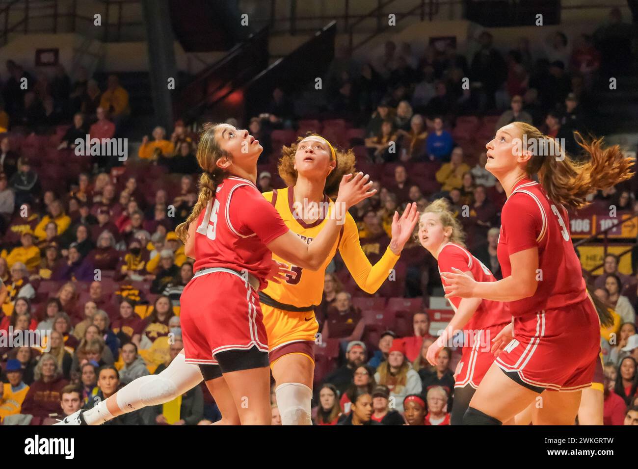 Minneapolis, Minnesota, USA. 20th Feb, 2024. Minnesota Golden Gophers ...