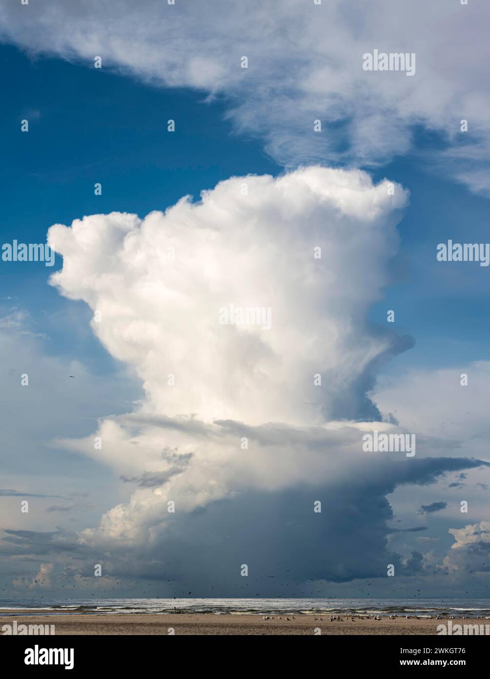 Rain cloud (Cumulonimbus capillatus) with heavy rain shower on the ...