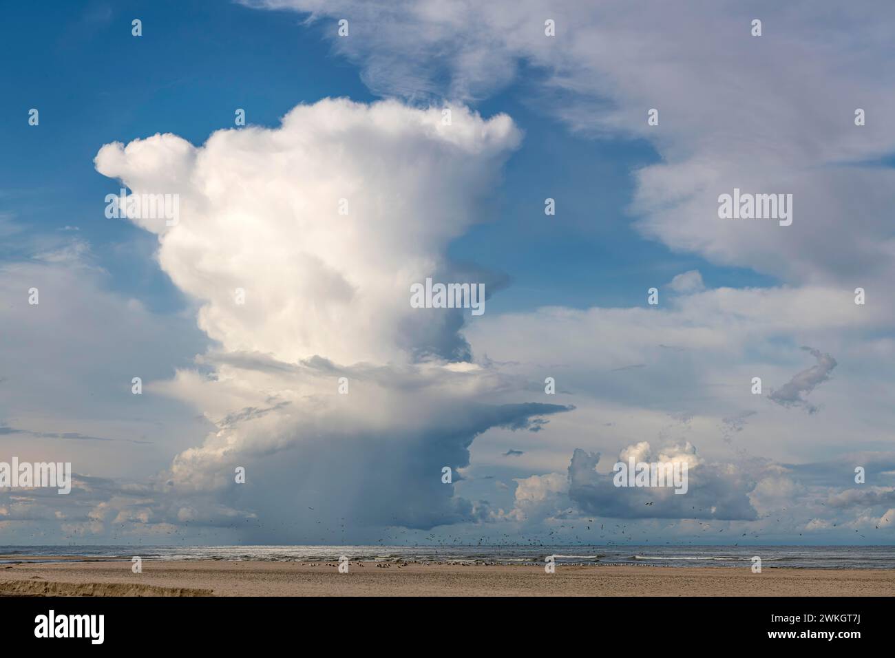 Rain cloud (Cumulonimbus capillatus) with heavy rain shower on the ...