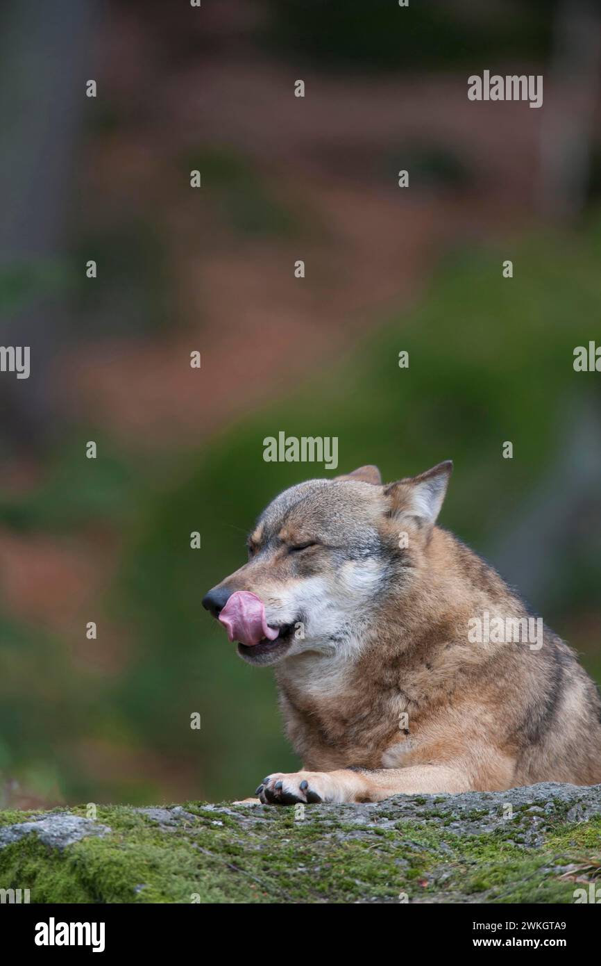 Rock lip hi-res stock photography and images - Alamy