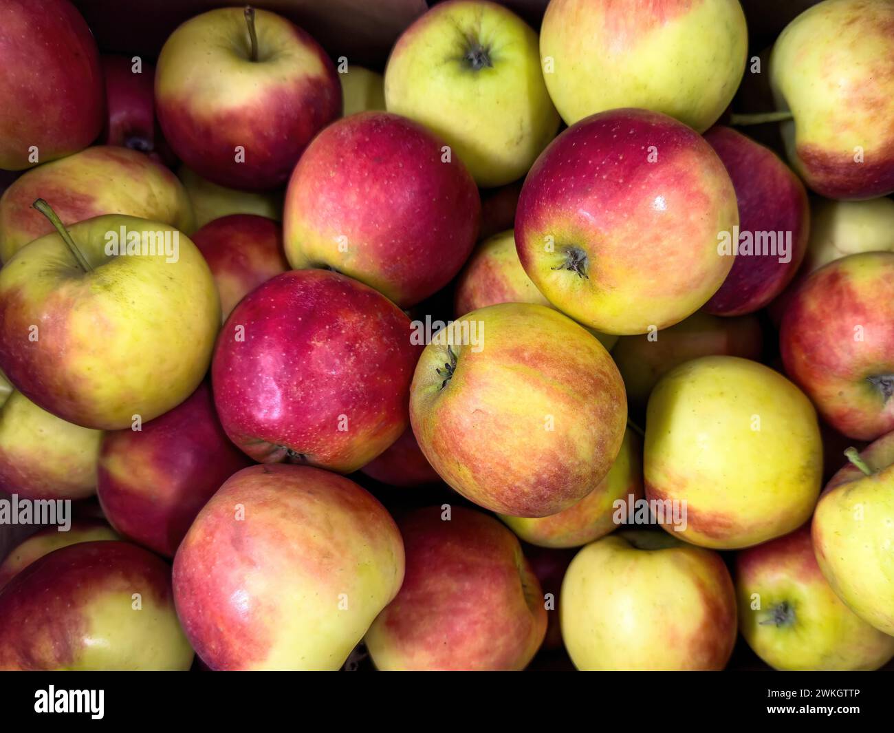 German grocer hi-res stock photography and images - Alamy