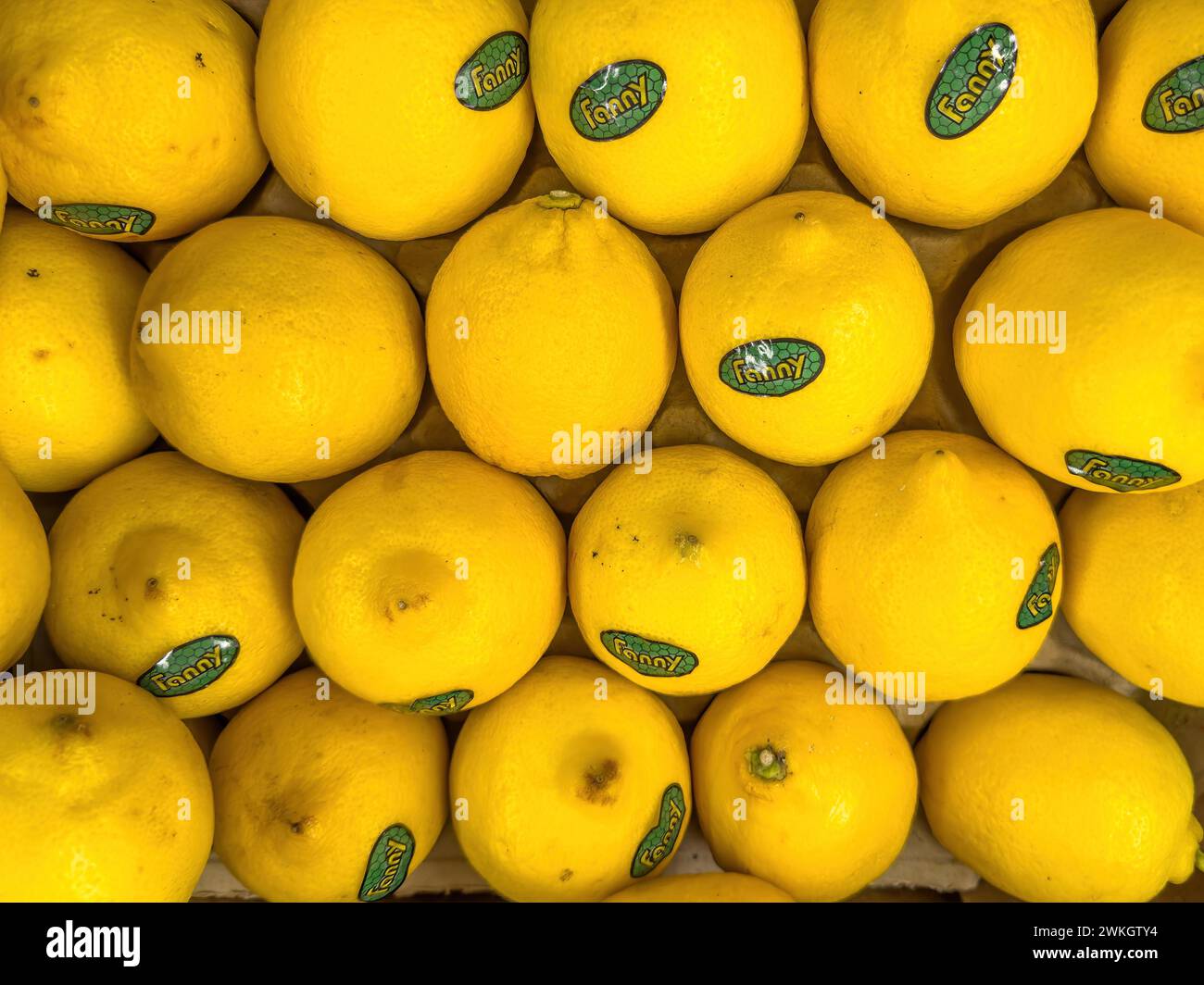 Lemons on display in grocery shop grocery store grocer supermarket ...