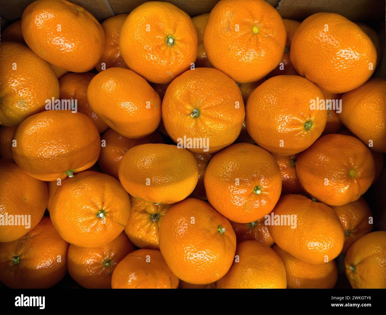 Tangerines on display in grocery shop grocery store grocer supermarket ...