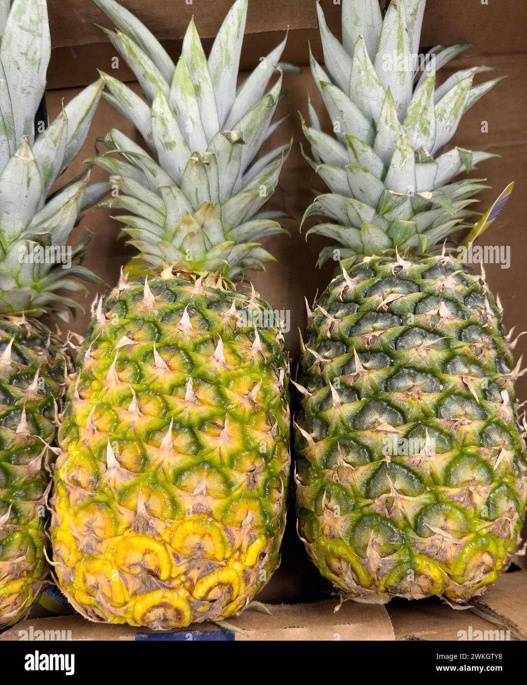 Two pineapples on display in a grocery shop food retailer supermarket ...