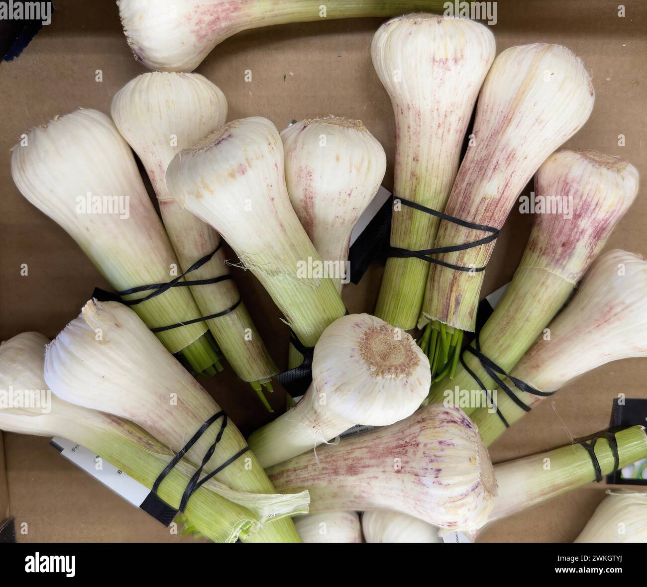 Fresh Egyptian garlic from Egypt on display in grocery shop grocery ...