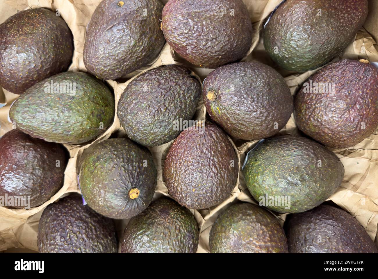 Avocado superfood on display in grocery shop Food retailer Food ...