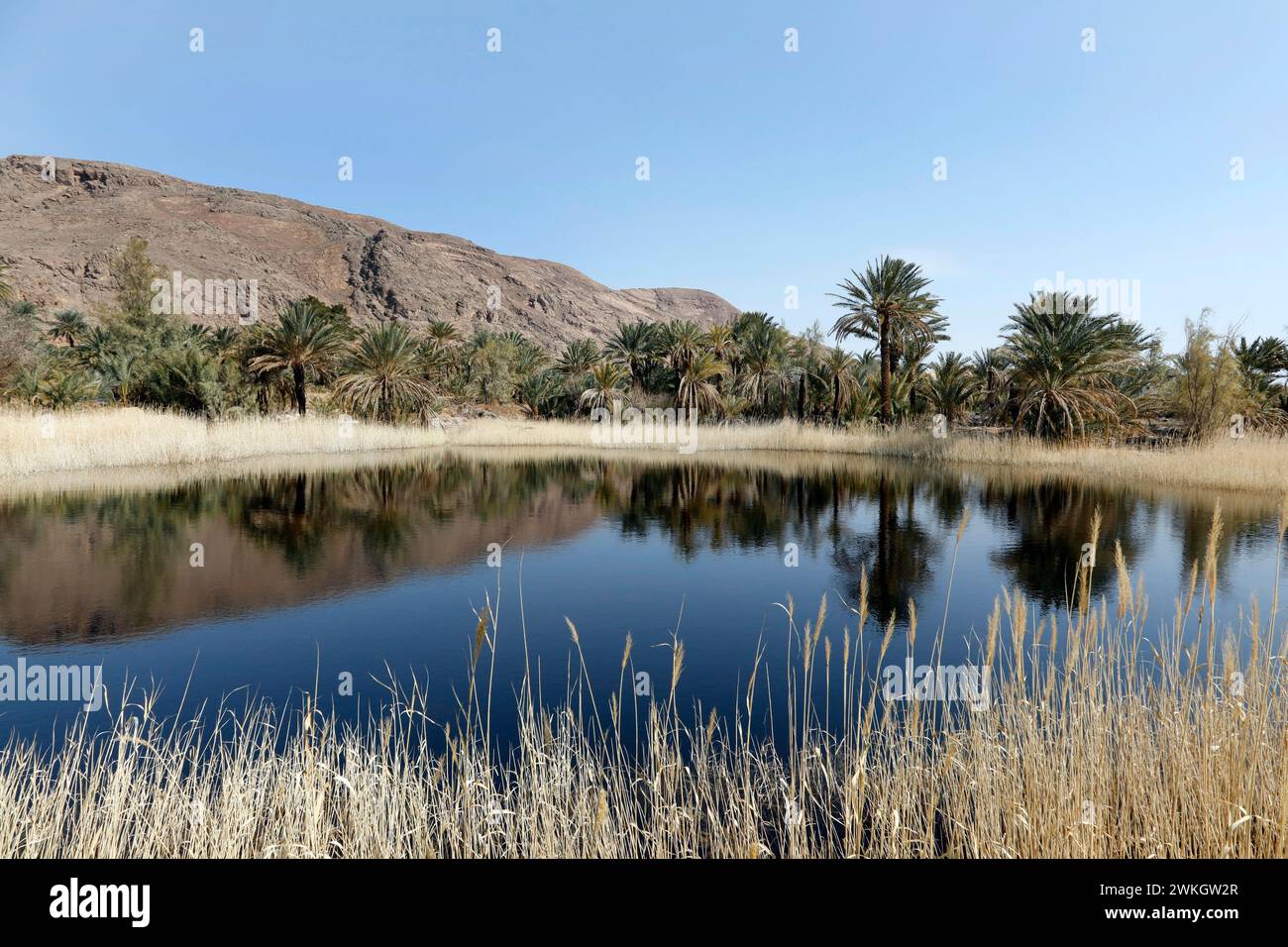 An oasis in the middle of Iran's central desert, Gameh, 12.03.2019 ...