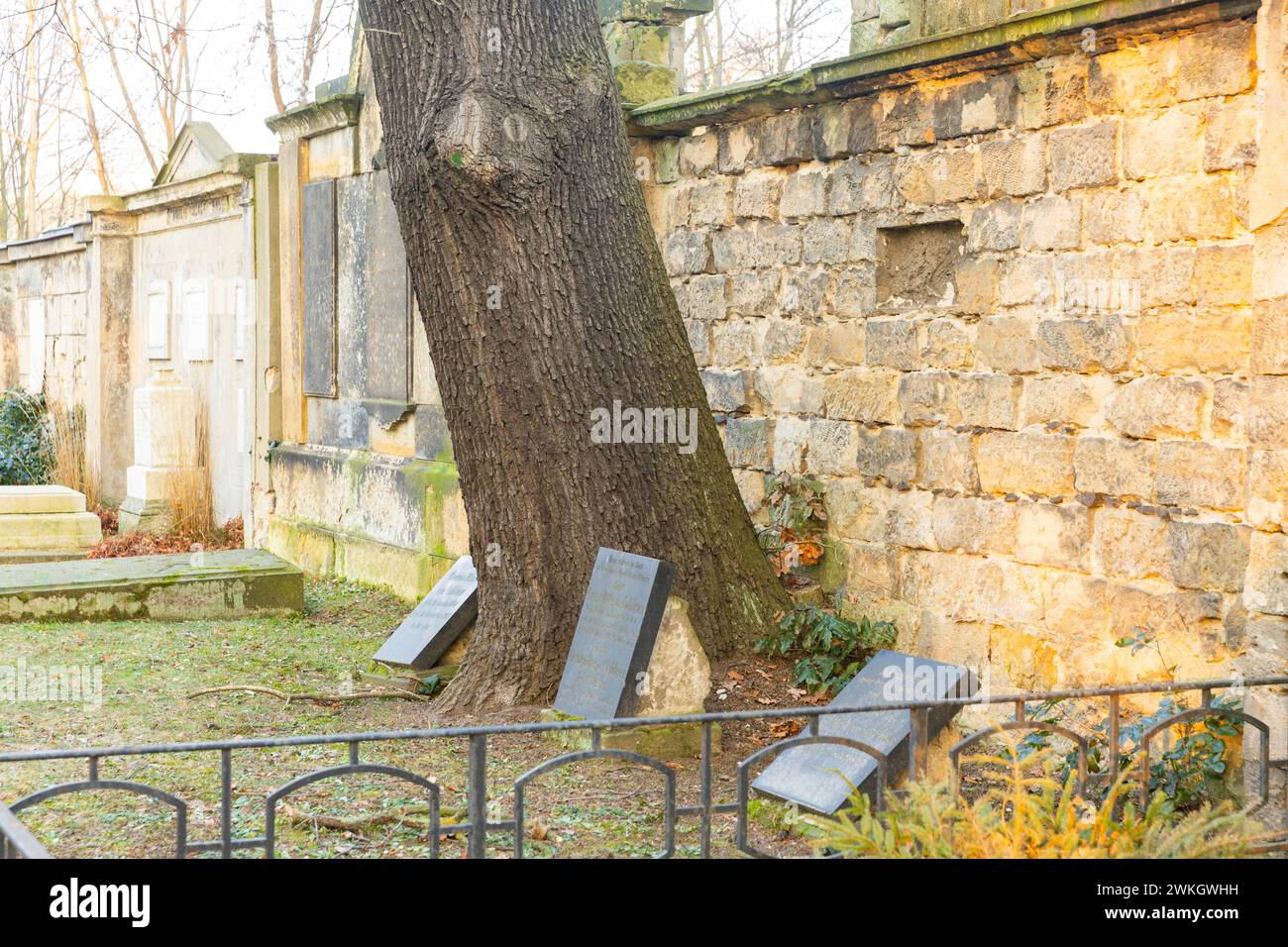 The Trinitatisfriedhof cemetery in Dresden's Johannstadt district is ...