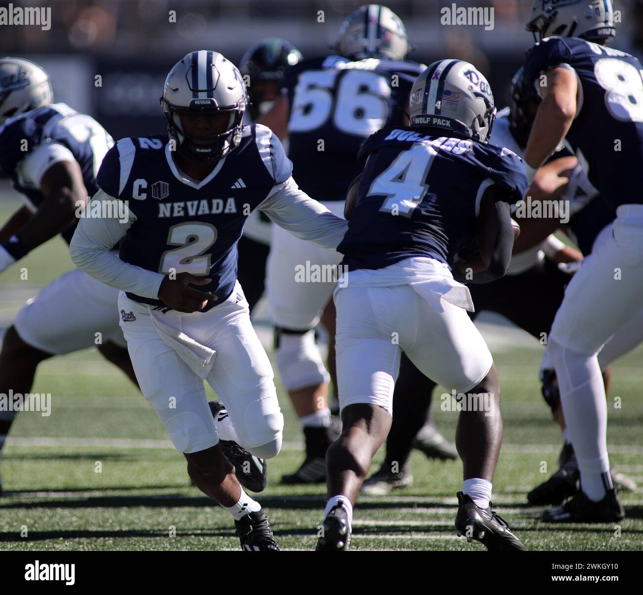November 4, 2023 - Nevada Wolf Pack quarterback Brendon Lewis #2 hands ...
