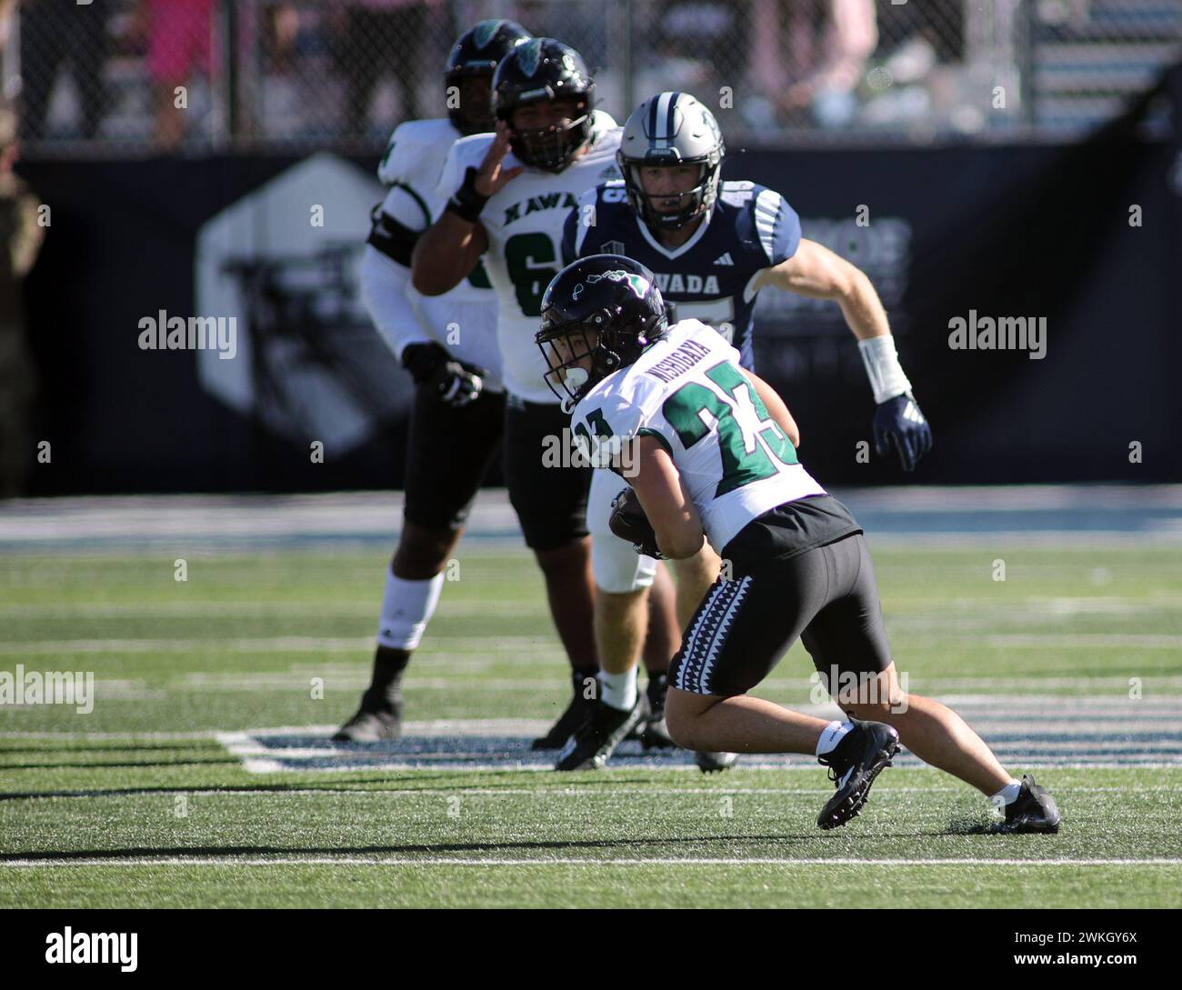 November 4, 2023 - Hawaii Rainbow Warriors wide receiver Koali ...