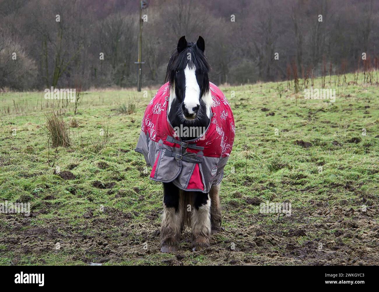 Wrapped up winter hi-res stock photography and images - Alamy