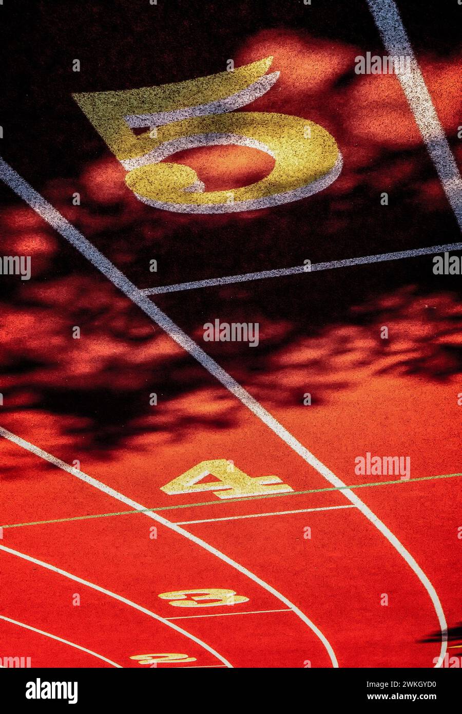 Lanes on a running track in shade Stock Photo - Alamy