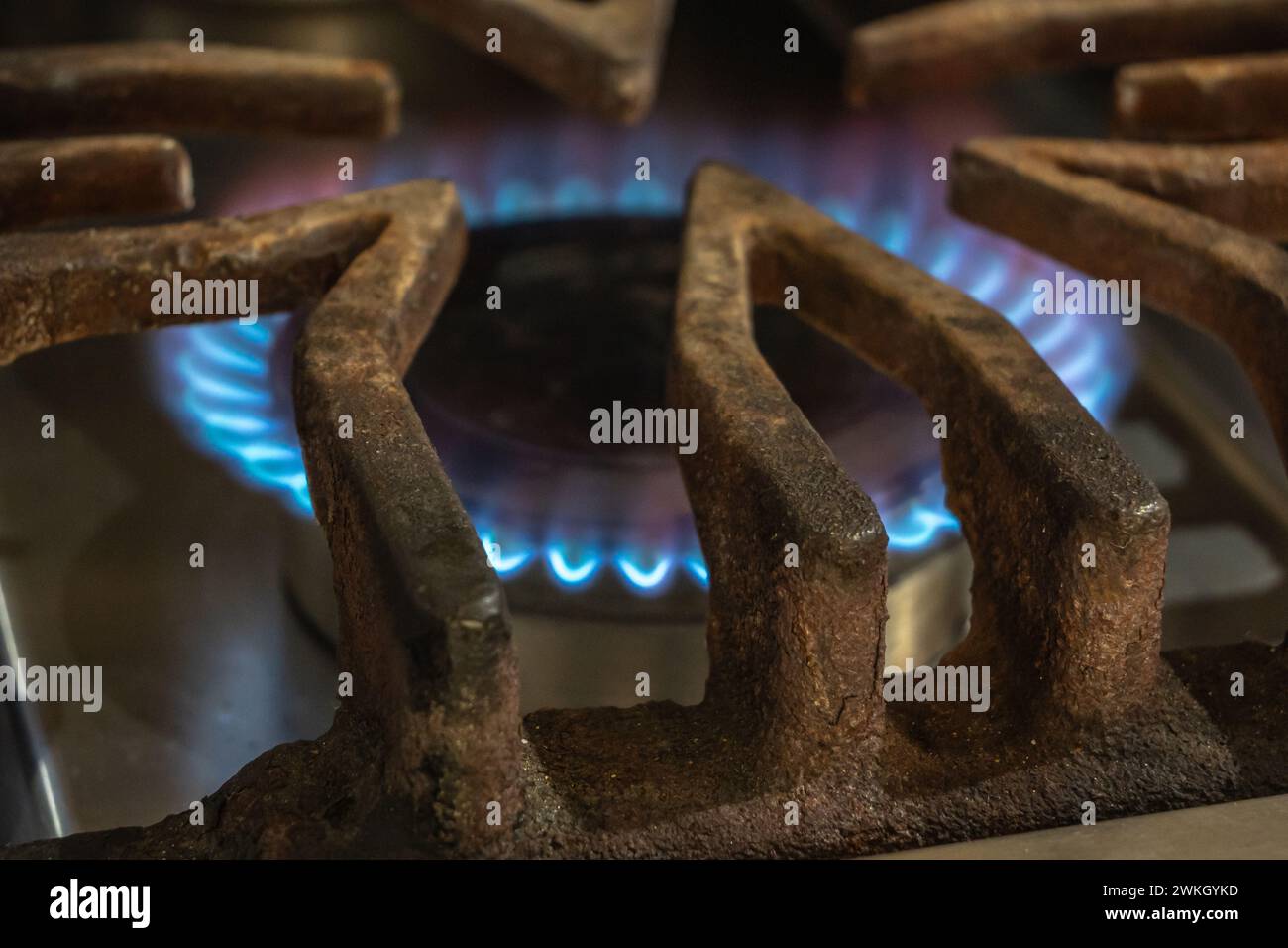 Gas consumption concept. Stove lit with blue light flame Stock Photo ...