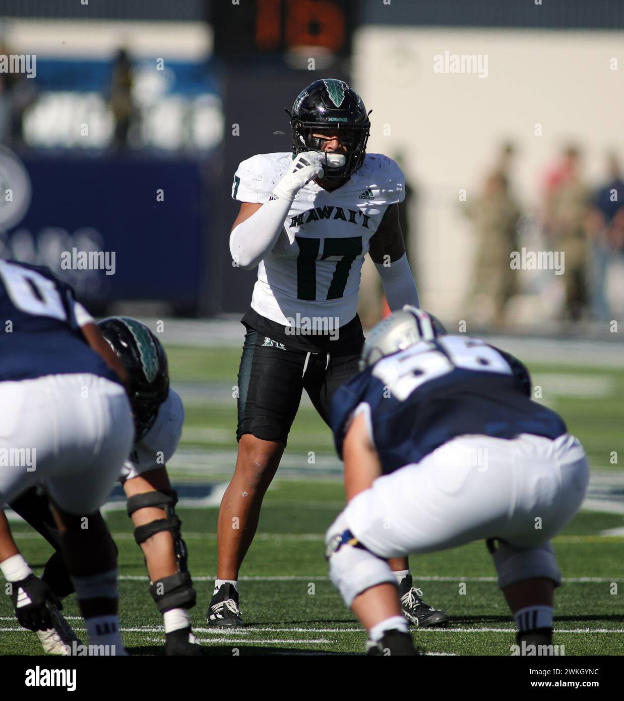 November 4, 2023 - Hawaii Rainbow Warriors linebacker Isaiah Tufaga #17 ...