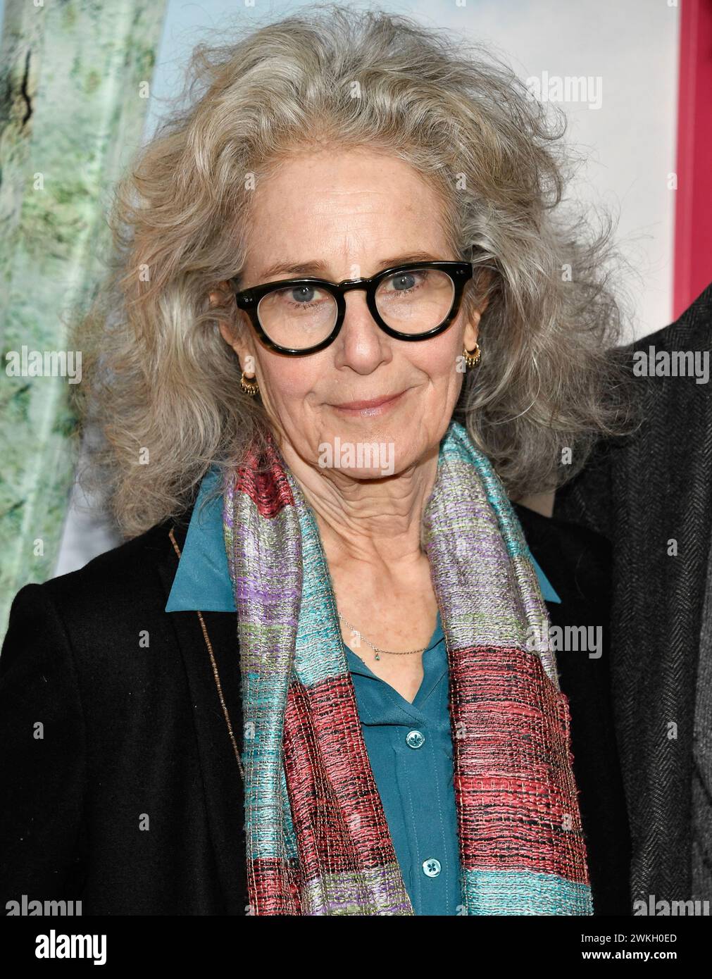 Debra Winger attends the premiere of "Drive-Away Dolls" at AMC Lincoln ...