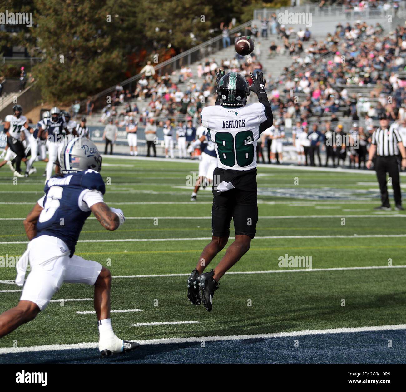 November 4, 2023 - Hawaii Rainbow Warriors wide receiver Pofele Ashlock ...