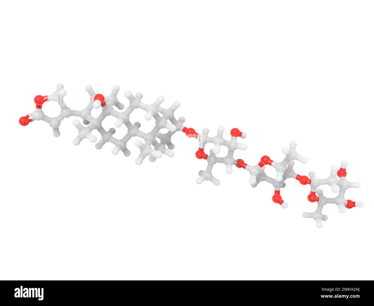 Digitoxin heart drug molecular structure, illustration Stock Photo - Alamy