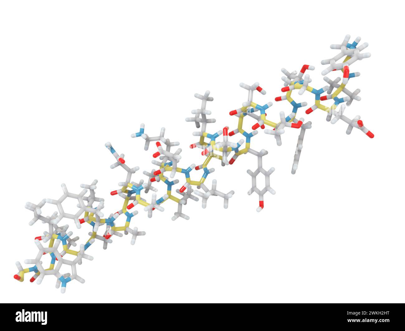 Antidiabetic drug, tirzepatide molecular structure, illustration Stock ...