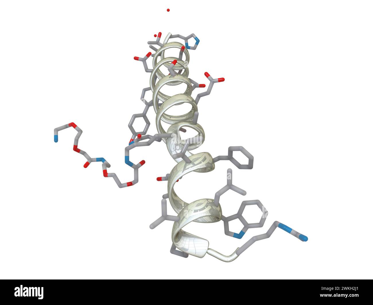 Antidiabetic drug semaglutide molecular structure, illustration Stock ...