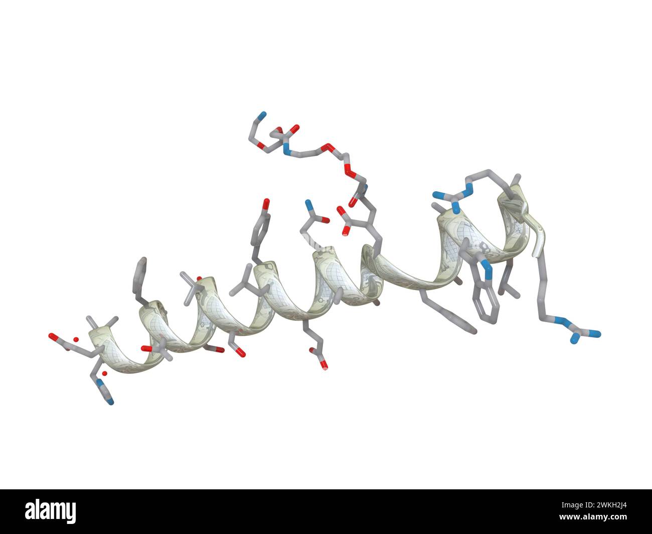 Antidiabetic drug semaglutide molecular structure, illustration Stock ...